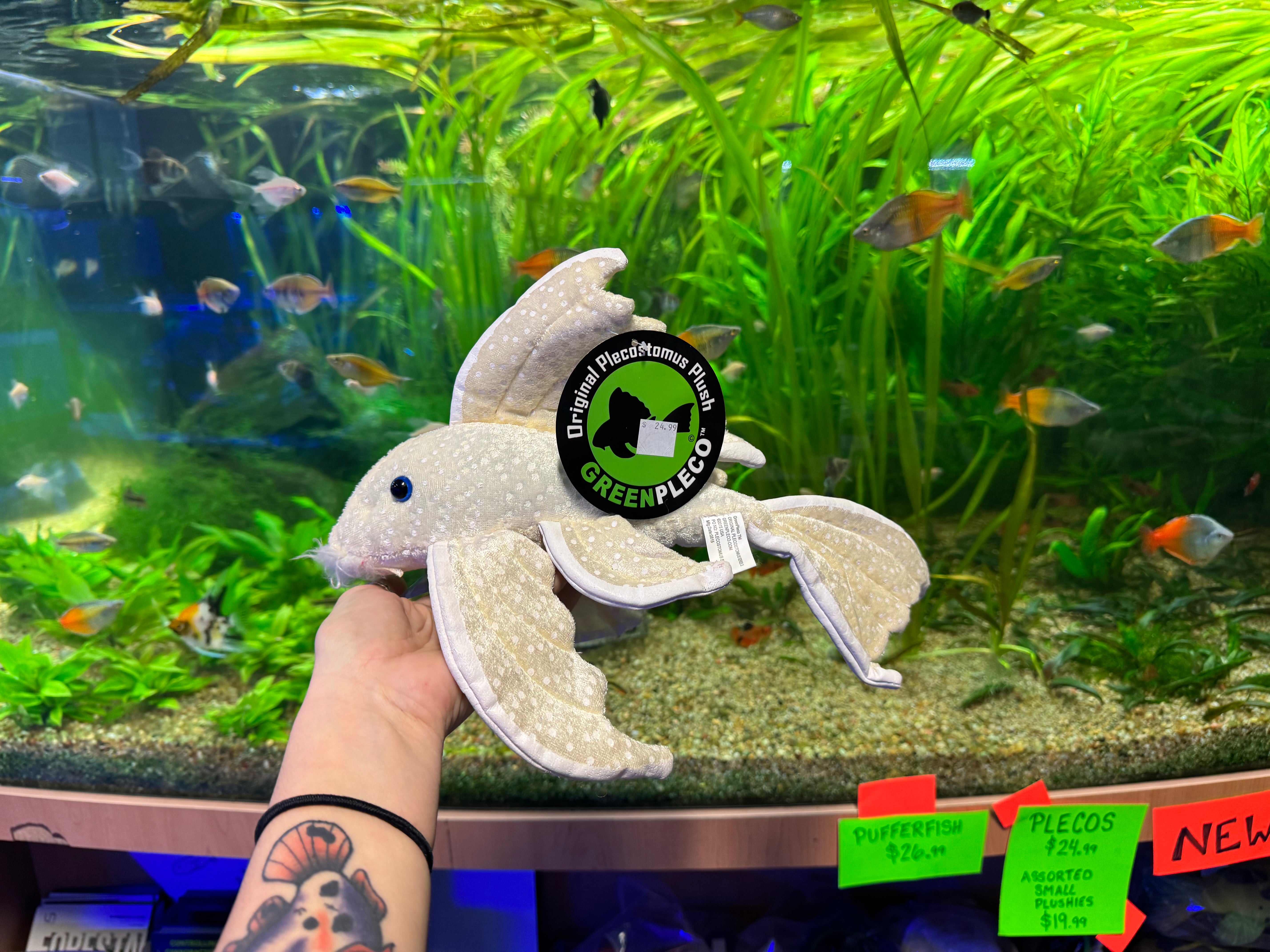 Pleco Plush – ageofaquariums